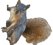 Wicca, Pagan and Goddess Info | Wiccan Supplies | Home Page