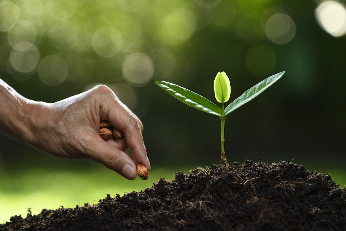 Understanding the Three-Fold Law of Return in Magic | Living Wicca Today